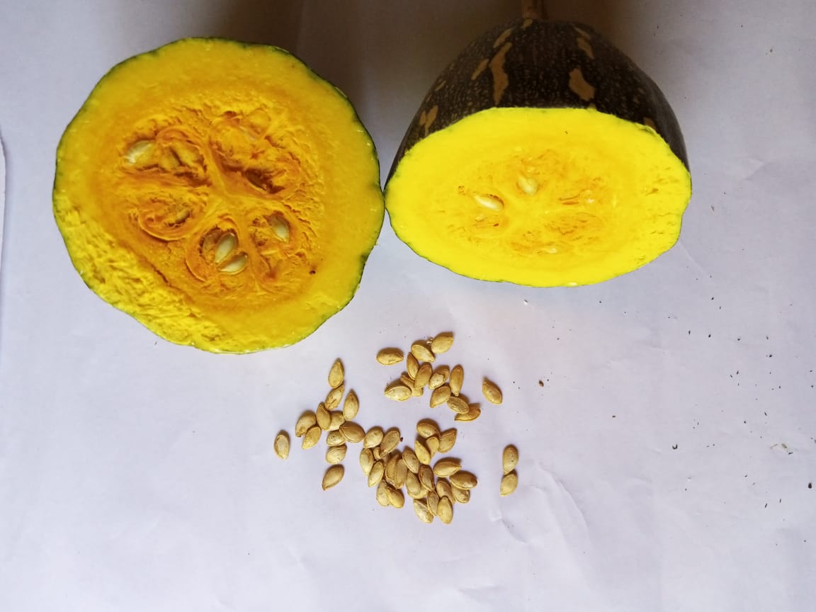 Vihiga – Seed Exchange Kenya